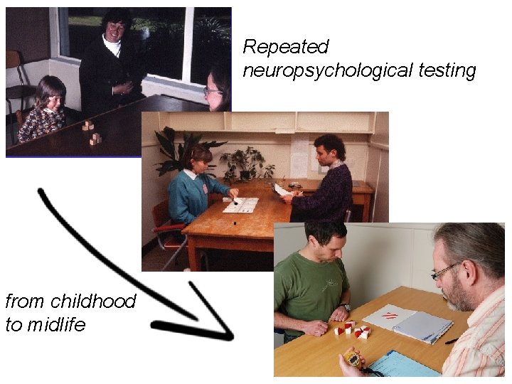 The Dunedin Longitudinal Study 1 Dunedin New Zealand
