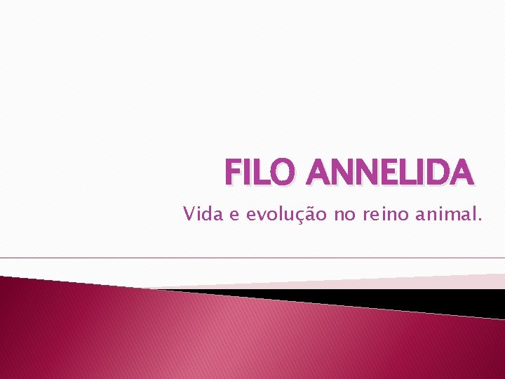 FILO ANNELIDA Vida e evoluo no reino animal