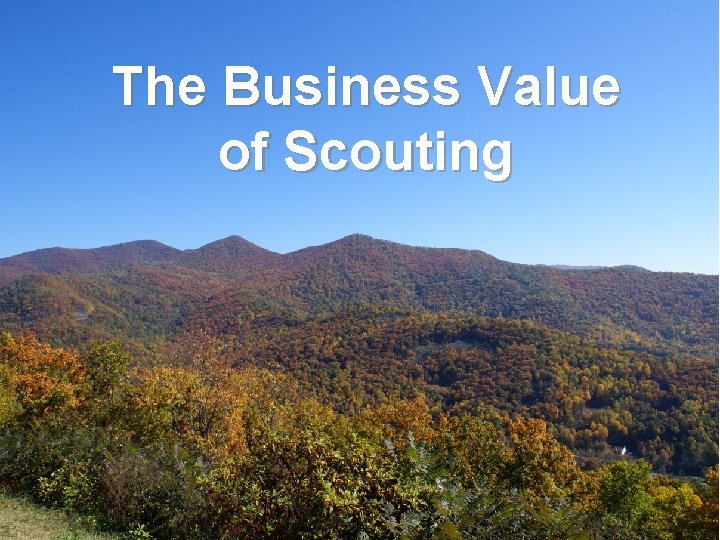 The Business Value of Scouting Business Leadership Requirements