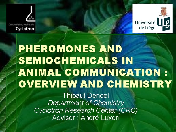 PHEROMONES AND SEMIOCHEMICALS IN ANIMAL COMMUNICATION OVERVIEW AND