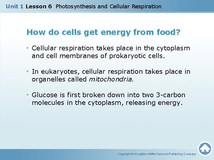 Unit 1 Lesson 6 Photosynthesis and Cellular Respiration