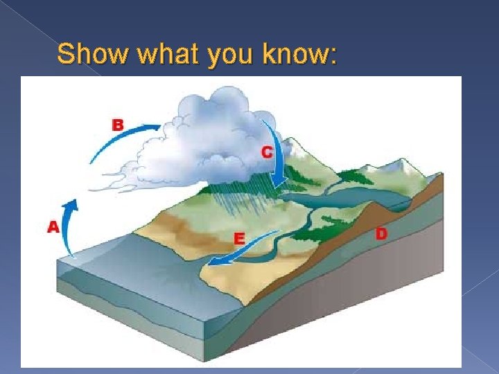 Water Cycle How does it rain What does