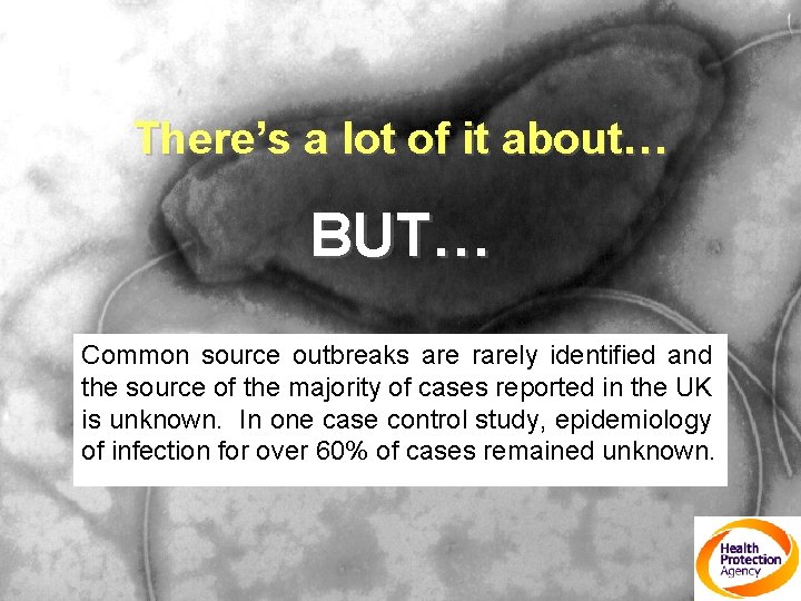 Whats new in Campylobacter infection Andrew Fox Health