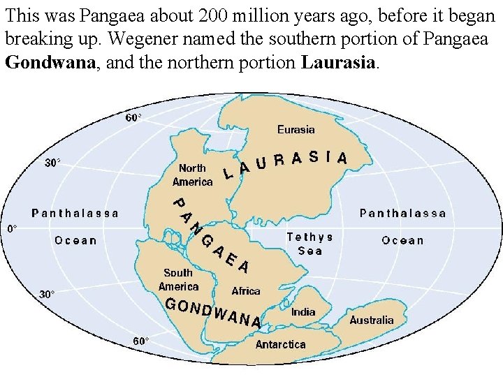 Plate Tectonic Theory Evidence for Plate Tectonics CONTINENTAL