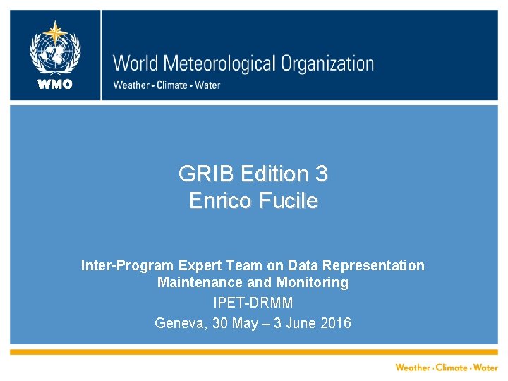 WMO GRIB Edition 3 Enrico Fucile InterProgram Expert