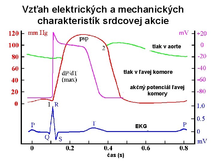 BIOFYZIKA SVALOVEJ KONTRAKCIE Ivan Poliaek TYPY SVALU Kostrov