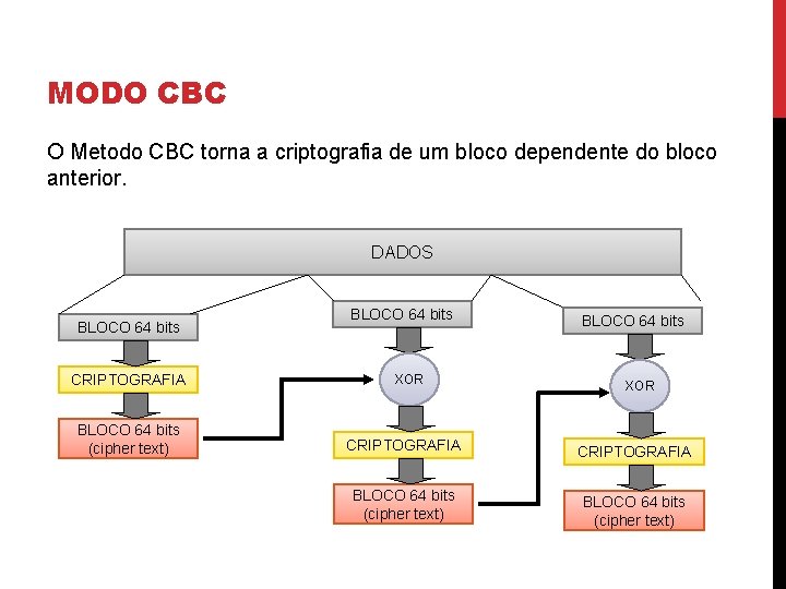 CRIPTOGRAFIA ASSINATURAS DIGITAIS CERTIFICADOS DIGITAIS Professor ...