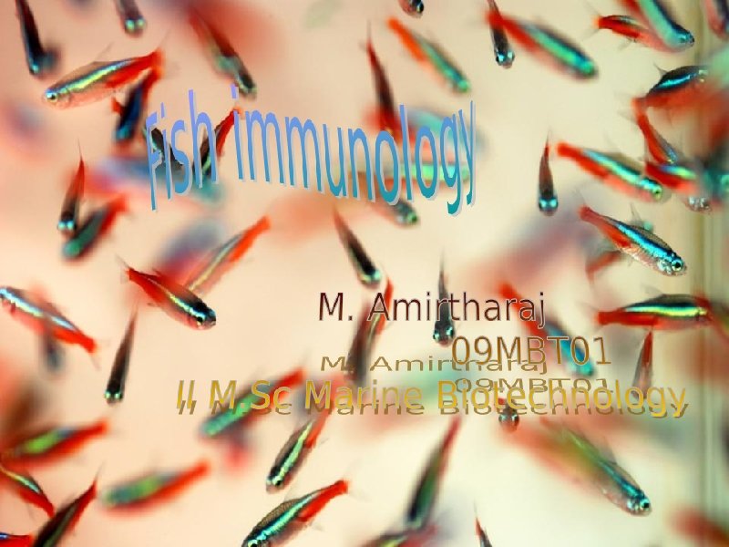 Definitions Immune Exempt from the pathogen Immunology is