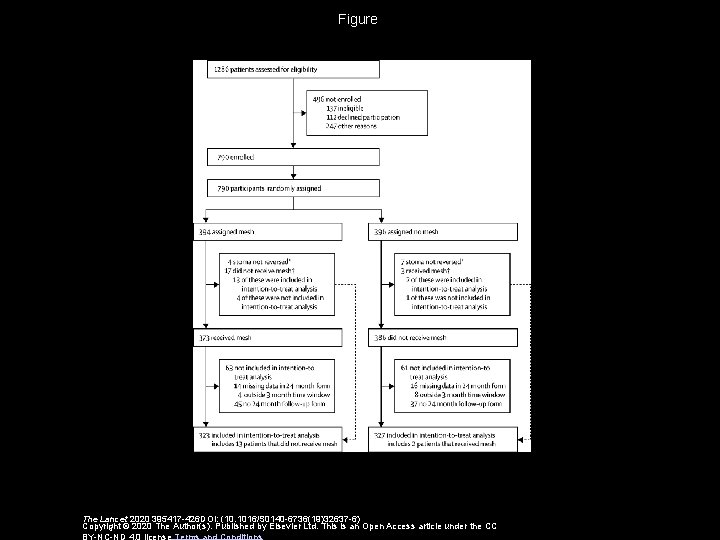 Prophylactic biological mesh reinforcement versus standard closure of