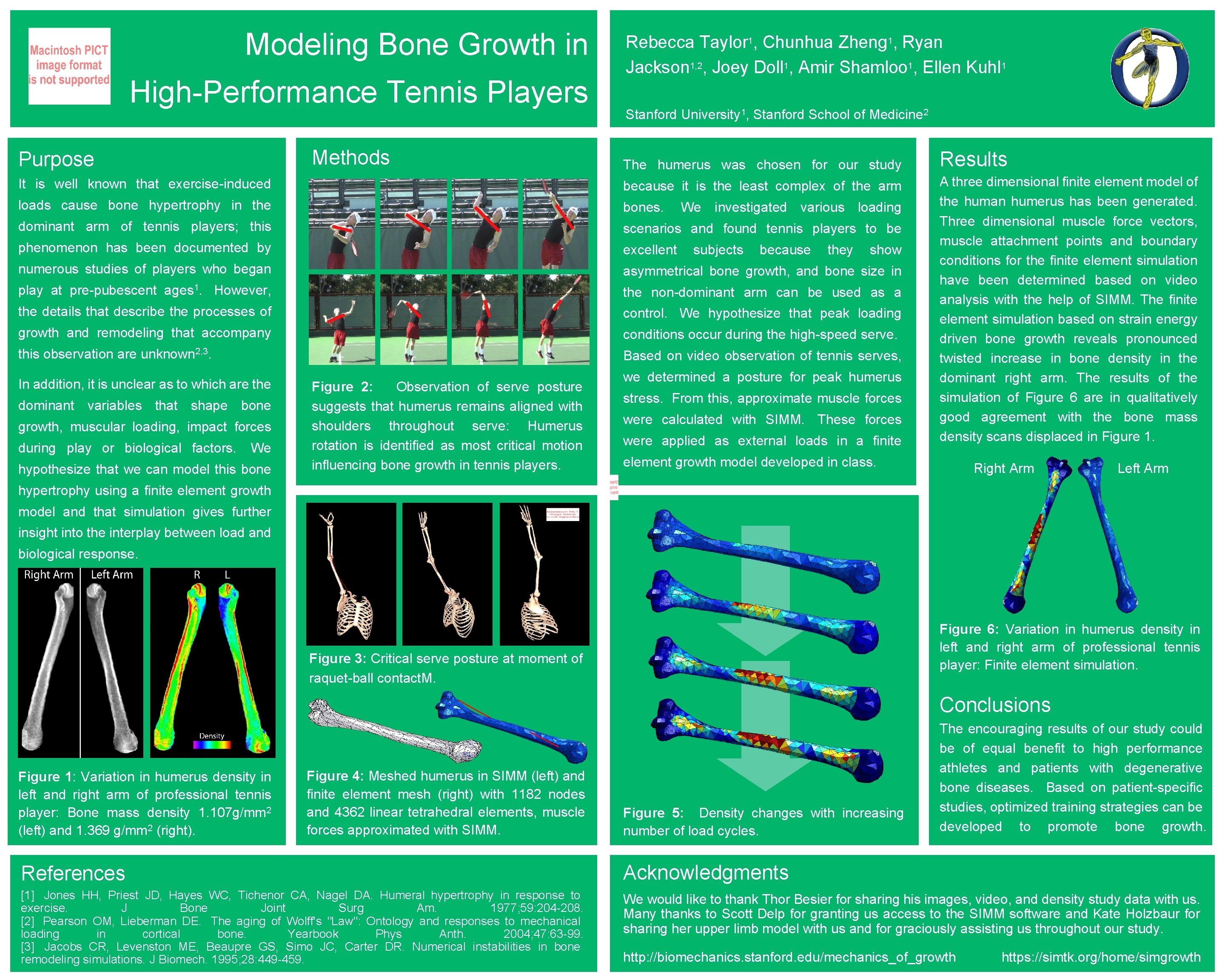 Modeling Bone Growth in HighPerformance Tennis Players Purpose