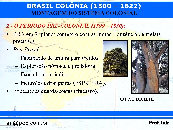 BRASIL COLNIA 1500 1822 MONTAGEM DO SISTEMA COLONIAL