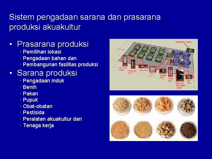 PERIKANAN BUDIDAYA AQUACULTURE Oleh Muhammad Yusuf SSTPi MSi