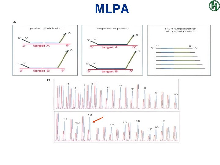 TEST RAPIDI IN DIAGNOSI PRENATALE Francesca Torricelli SOD