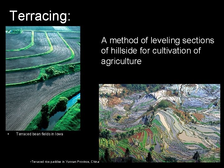 Mitigation and Soil Erosion Adam Baumeister ESS 315