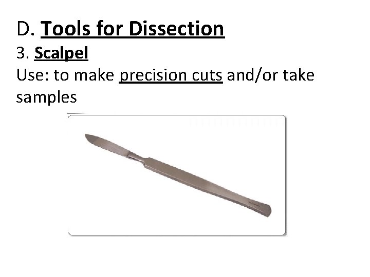 Tools of the Biologist In order to observe