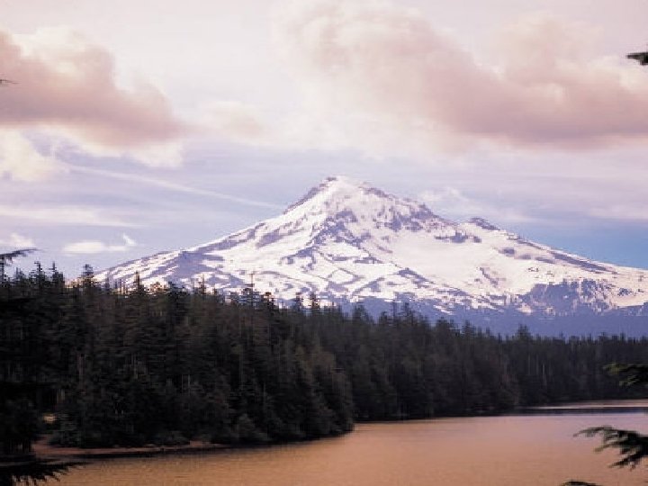 Muqumiy nomidagi Qoqon Davlat Pedagogika instituti EKOLOGIYA FANIDAN