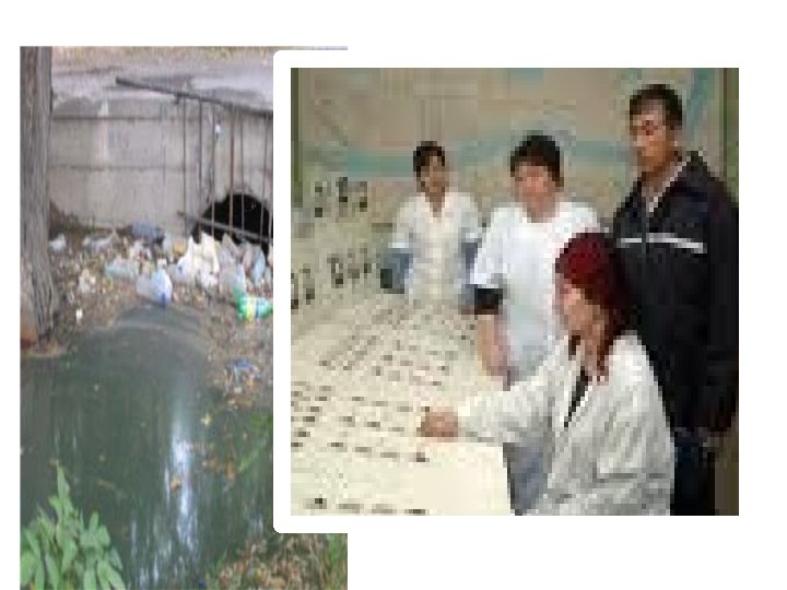 Muqumiy nomidagi Qoqon Davlat Pedagogika instituti EKOLOGIYA FANIDAN