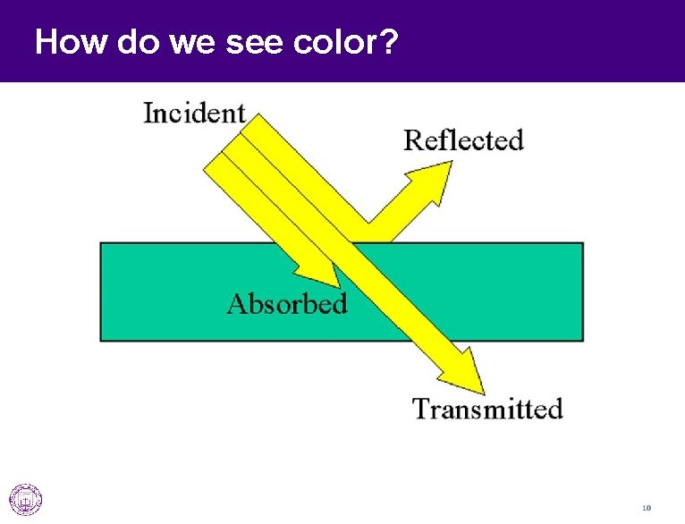 Metabolism Lesson 12 Absorption Action Spectra and Limiting