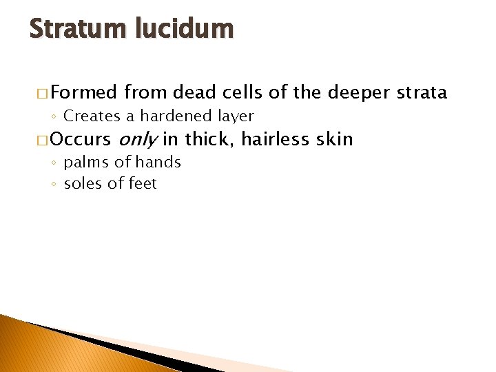 The Integumentary System Also known as The SKIN
