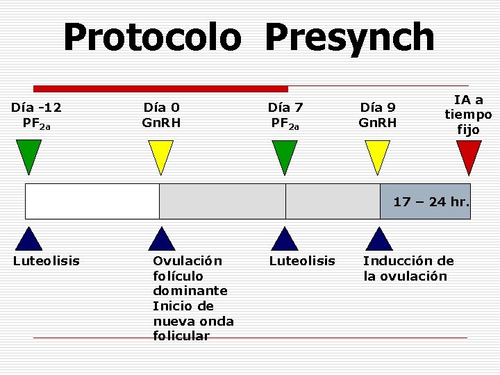 SINCRONIZACION DE CELOS Qu es SINCRONIZACIN DE CELO