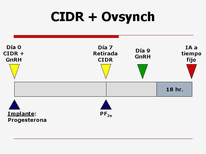 SINCRONIZACION DE CELOS Qu es SINCRONIZACIN DE CELO
