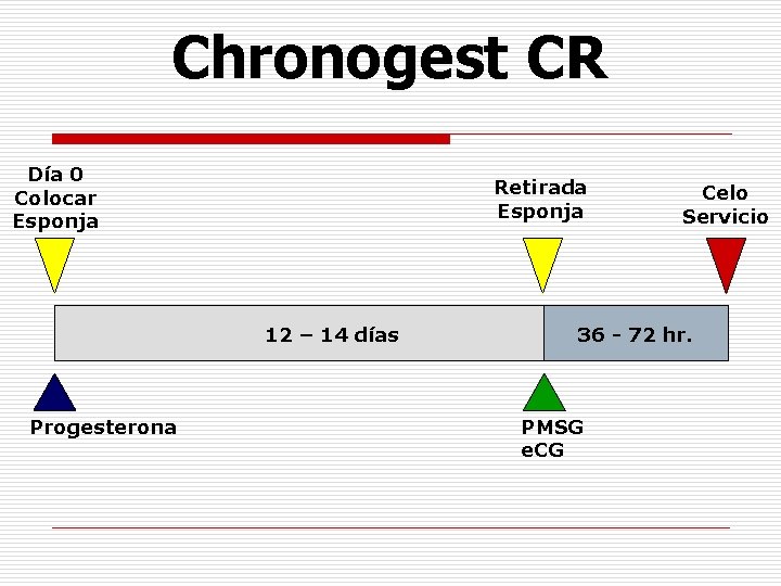 SINCRONIZACION DE CELOS Qu es SINCRONIZACIN DE CELO