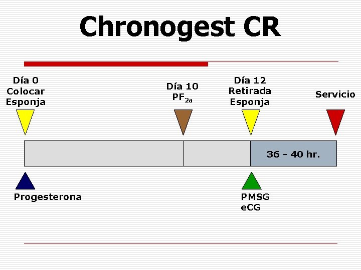 SINCRONIZACION DE CELOS Qu es SINCRONIZACIN DE CELO