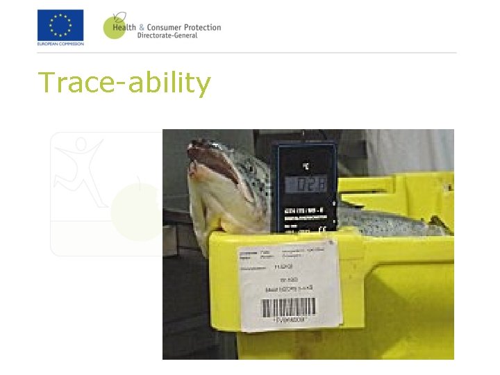 Traceability and Labelling of Fishery products in the