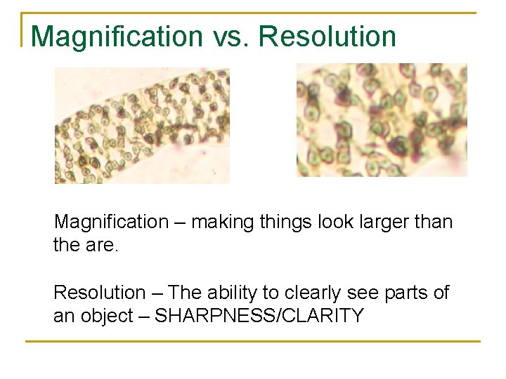 Discovering Cells are the basic unit of structure