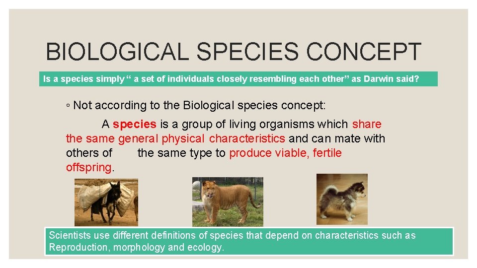 SPECIES SPECIATION Miss Amy Heeraman Form 5 Biology