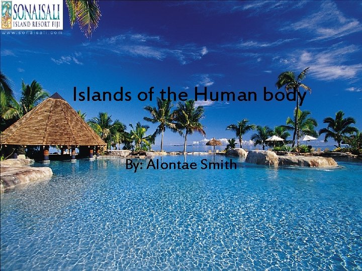 Islands of the Human body By Alontae Smith