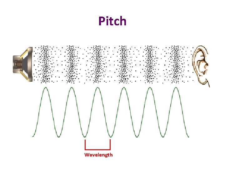 Hearing Audition Begins with sound entering ear Sound