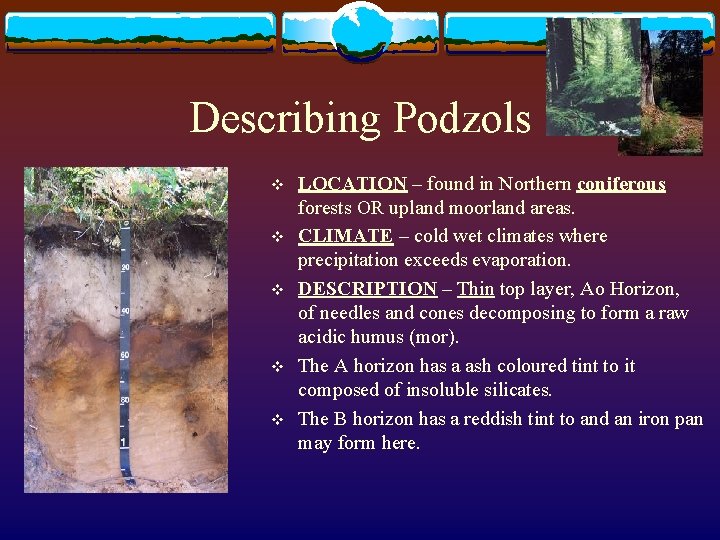 Soil profiles characteristics and profiles Podzol Brown Earth