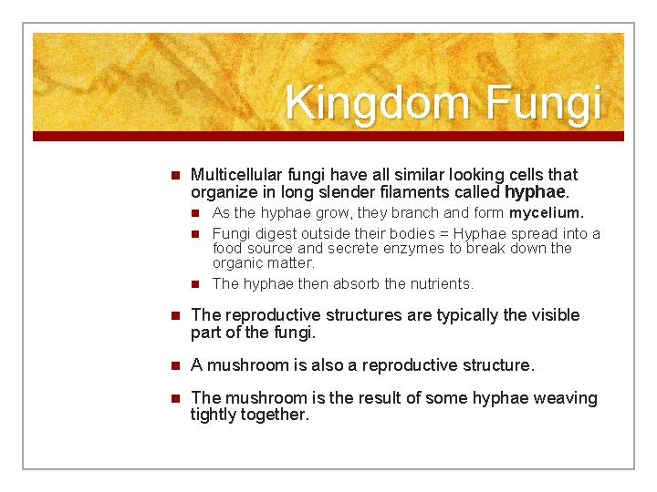 The 6 Kingdoms of Life plus Viruses Kingdom