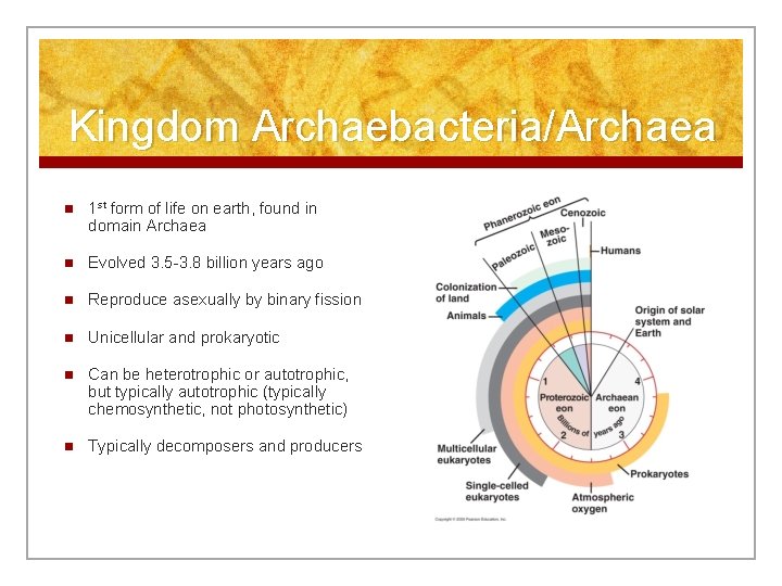 The 6 Kingdoms of Life plus Viruses Kingdom