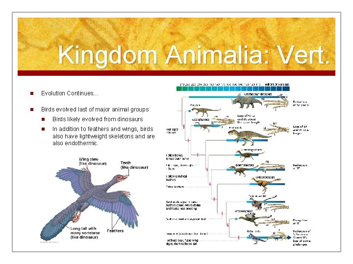 The 6 Kingdoms of Life plus Viruses Kingdom