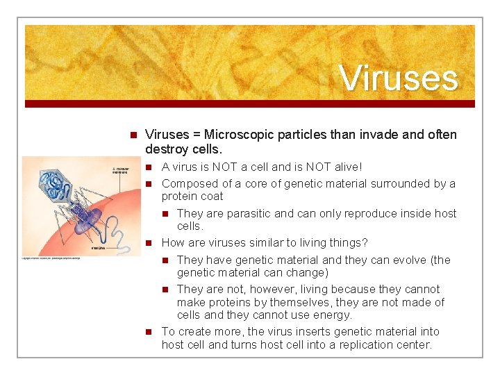 The 6 Kingdoms of Life plus Viruses Kingdom