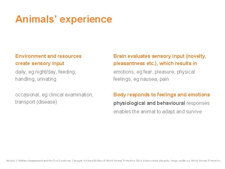 Module 2 Introduction to Welfare Assessment This lecture