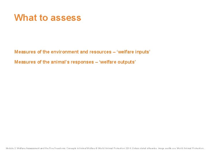 Module 2 Introduction to Welfare Assessment This lecture