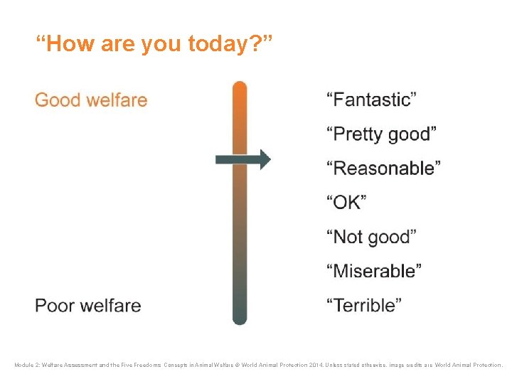 Module 2 Introduction to Welfare Assessment This lecture
