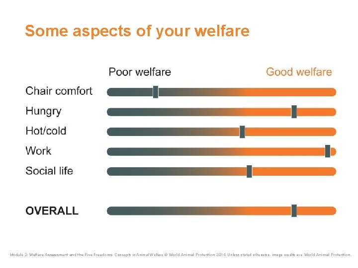 Module 2 Introduction to Welfare Assessment This lecture