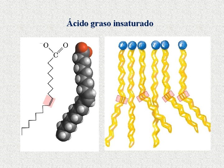 Universidad Nacional Experimental Sur del Lago Jess Mara