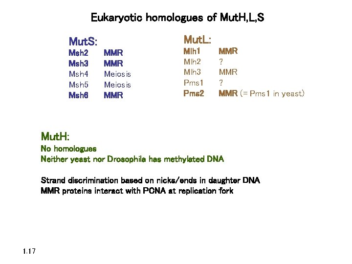 Lecture 1 DNA damage Damage Reversal Base excision