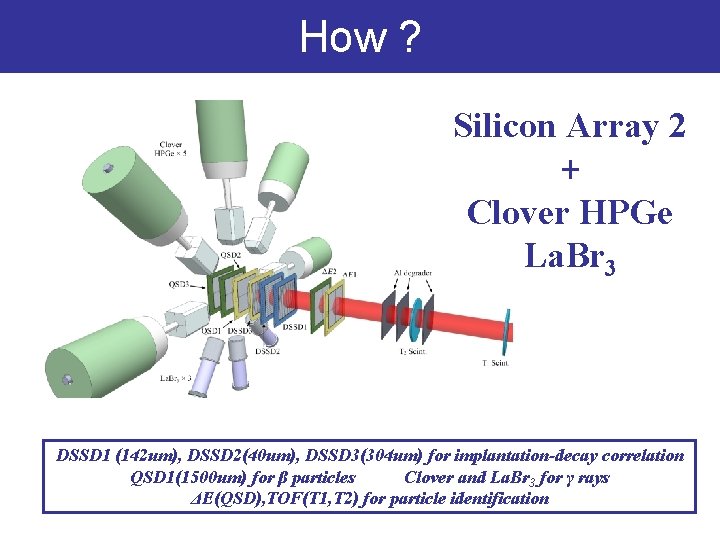 2019 10 Betadecay studies of sdshell nuclei near