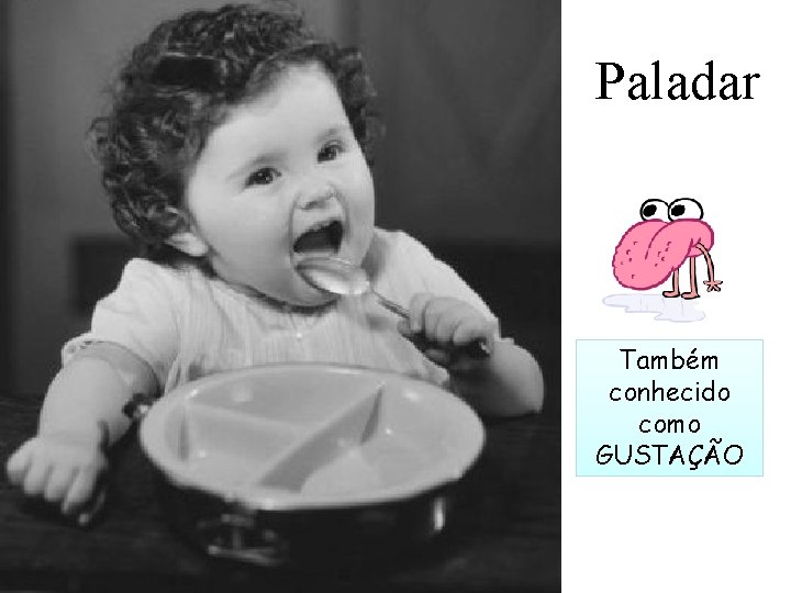 Sistema Sensorial Paladar Tambm conhecido como GUSTAO O