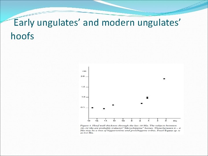 The adaptive significance of hooves in Ungulates Eyerusalem