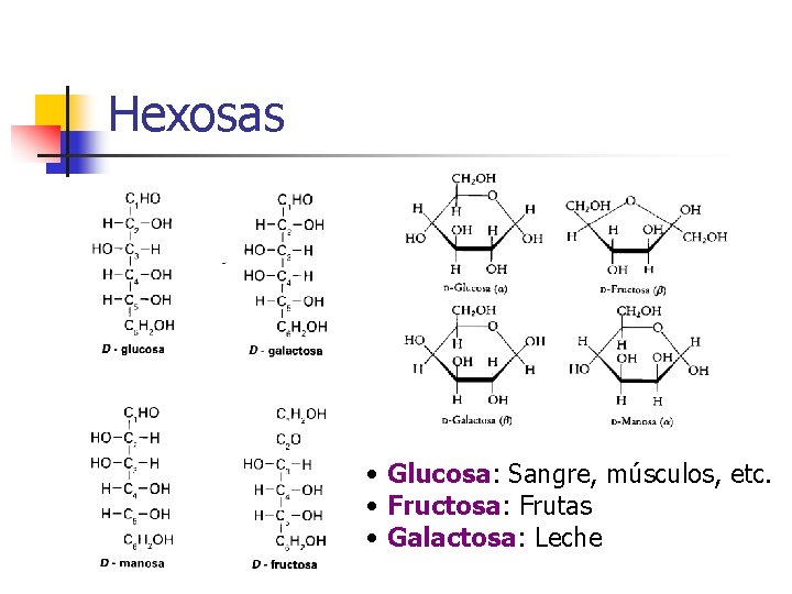 NIVELES DE ORGANIZACCIN DE LA MATERIA BIOELEMENTOS Y