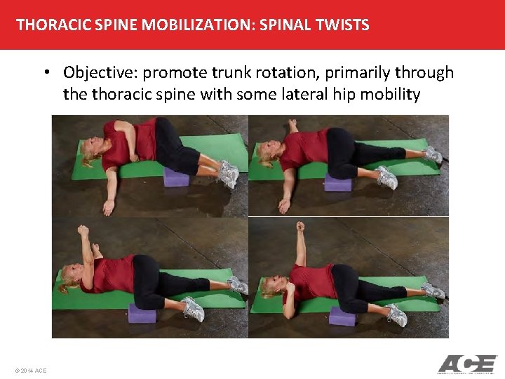 ACE PERSONAL TRAINER MANUAL 5 th Edition Chapter