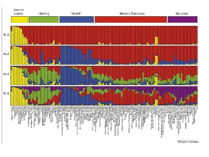 Are All Dogs the Same Wayne Ostrander 2007