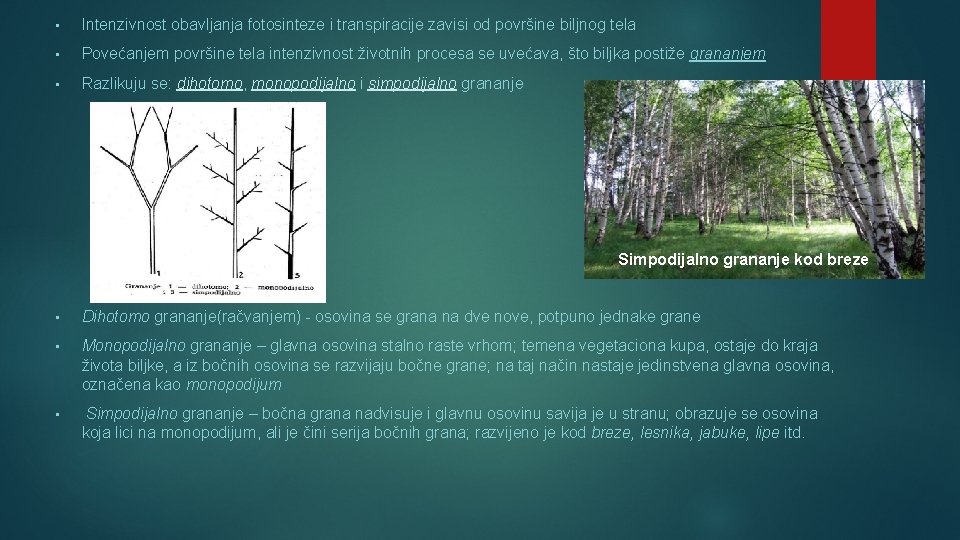 Izdanak VISE BILJKE IMAJU TELO IJI JE JEDAN